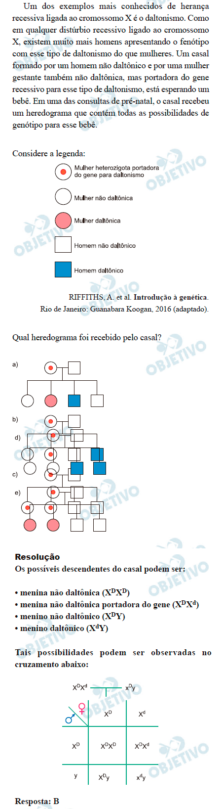 ENEM 2024 - 2º dia - Curso Objetivo Pré-Vestibular