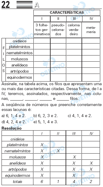 Mackenzie 2007 Curso Objetivo